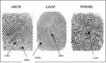 Fingerprint Recognition – Perpetual Enigma