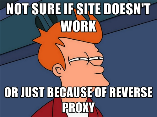 What Is A Reverse Proxy? – Perpetual Enigma